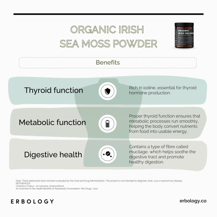 Sea Moss Benefits: Top Health Advantages & Side Effects - Erbology