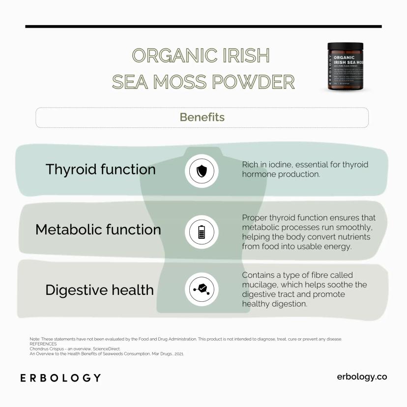 Sea Moss Benefits: Top Health Advantages & Side Effects - Erbology